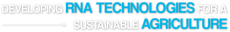 APOLO Biotech – Making plants smarter using RNA-based technologies